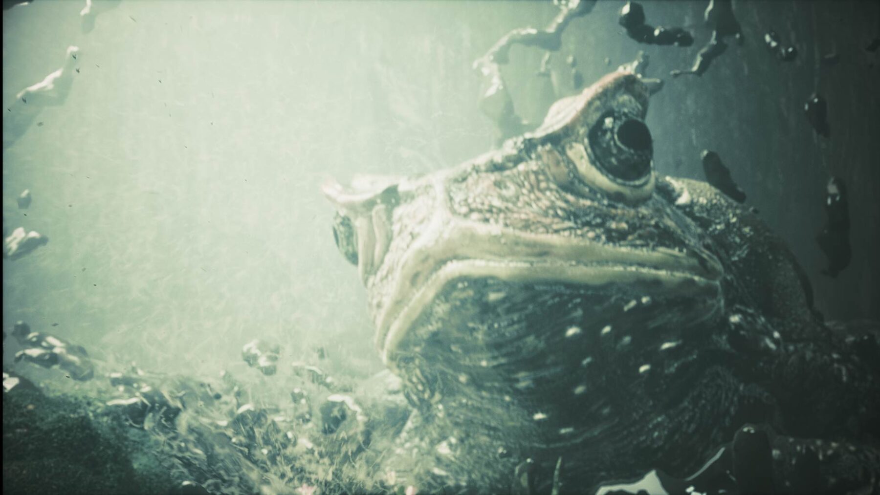 LIONBRUSH – PRODUCTION STUDIOS